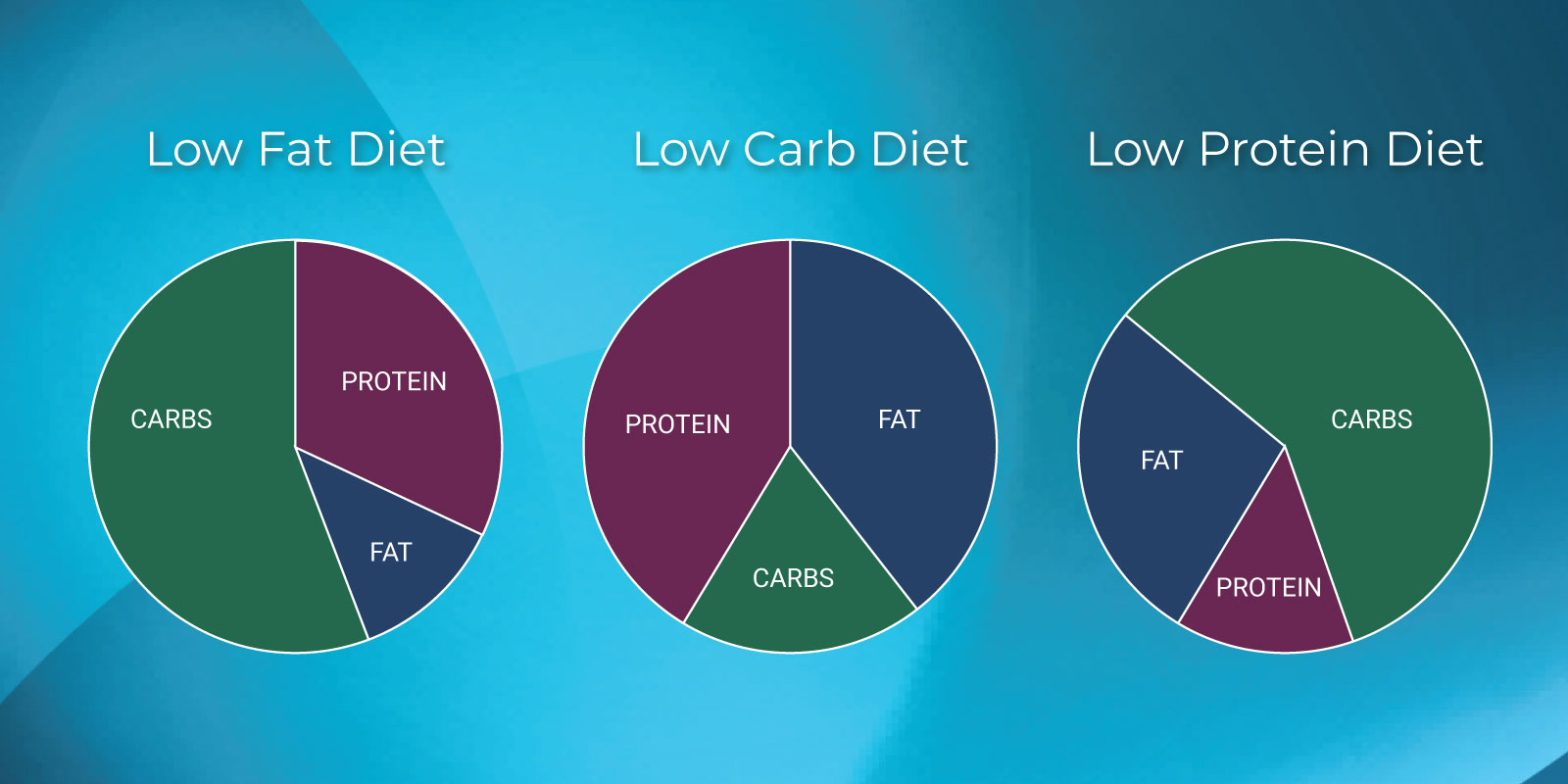 Calculating Macros, the healthiest way to lose weight - Balanced Habits